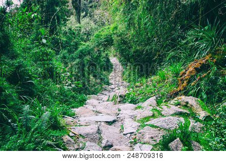 Stone Steps Inca Trail Image & Photo (Free Trial) | Bigstock