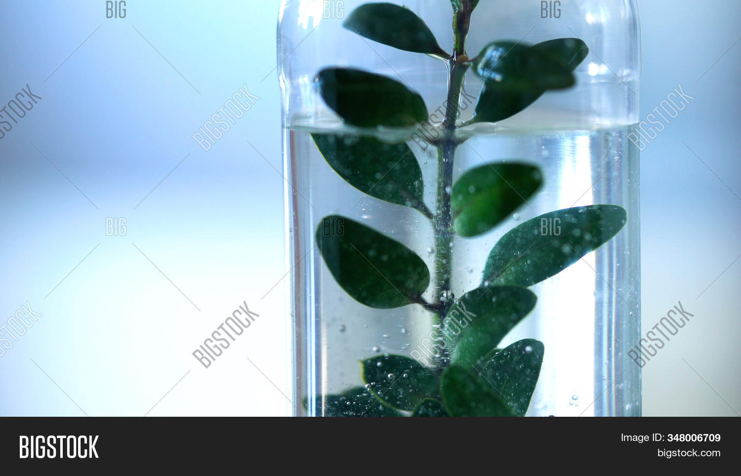 Plant Extract Image & Photo (Free Trial) | Bigstock