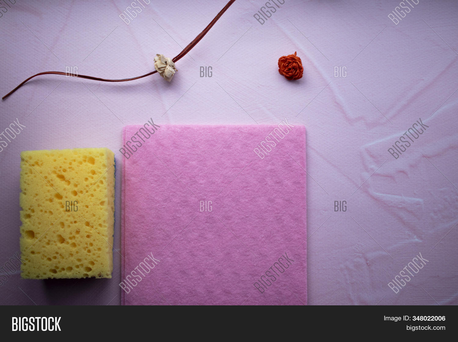 Yellow Foam Sponge Image & Photo (Free Trial) | Bigstock