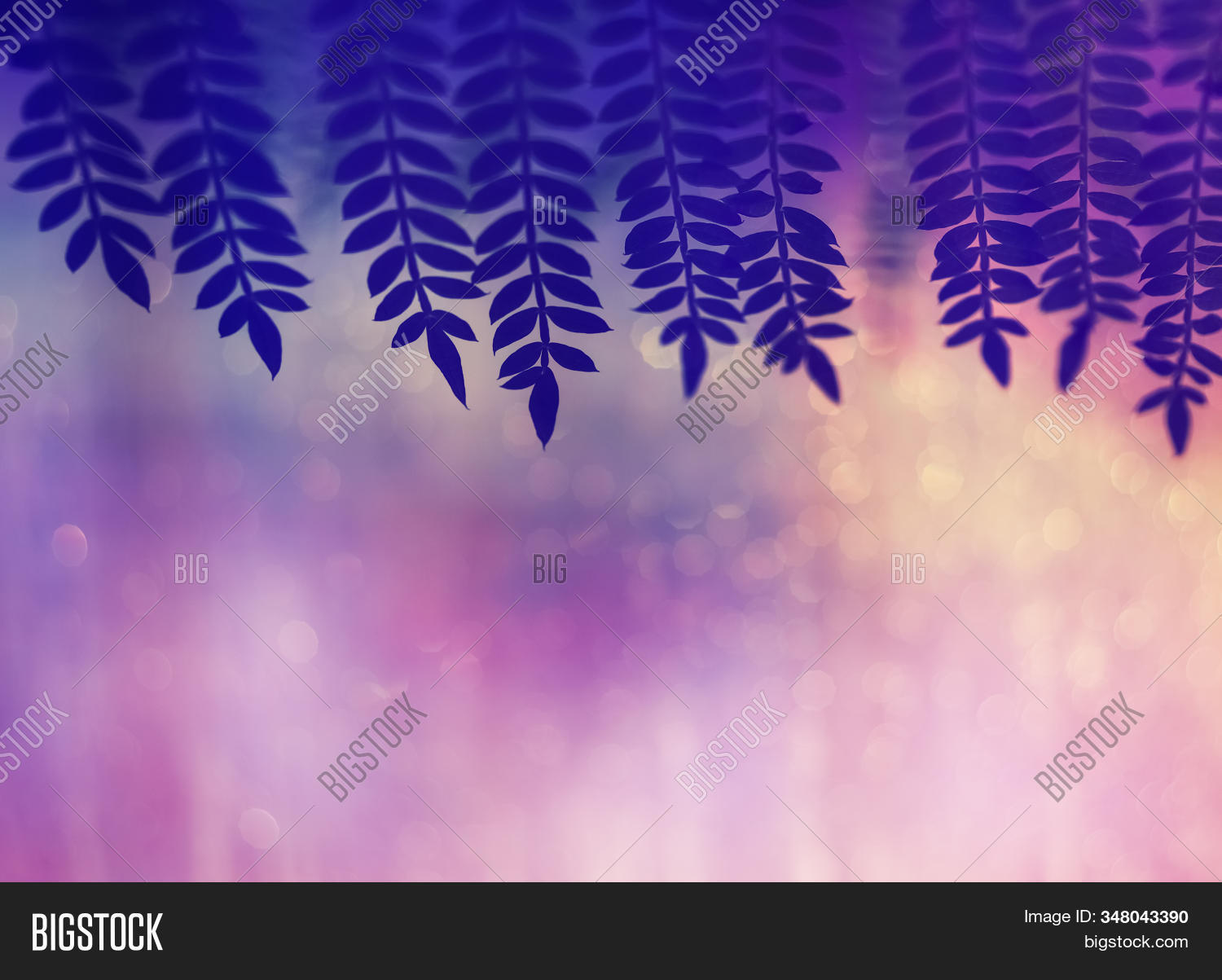 Festive Purple Image & Photo (Free Trial) | Bigstock