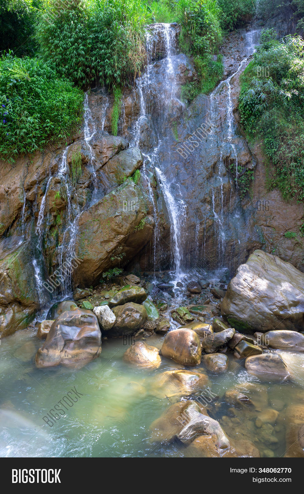 Silver Waterfall Cat Image & Photo (Free Trial) | Bigstock