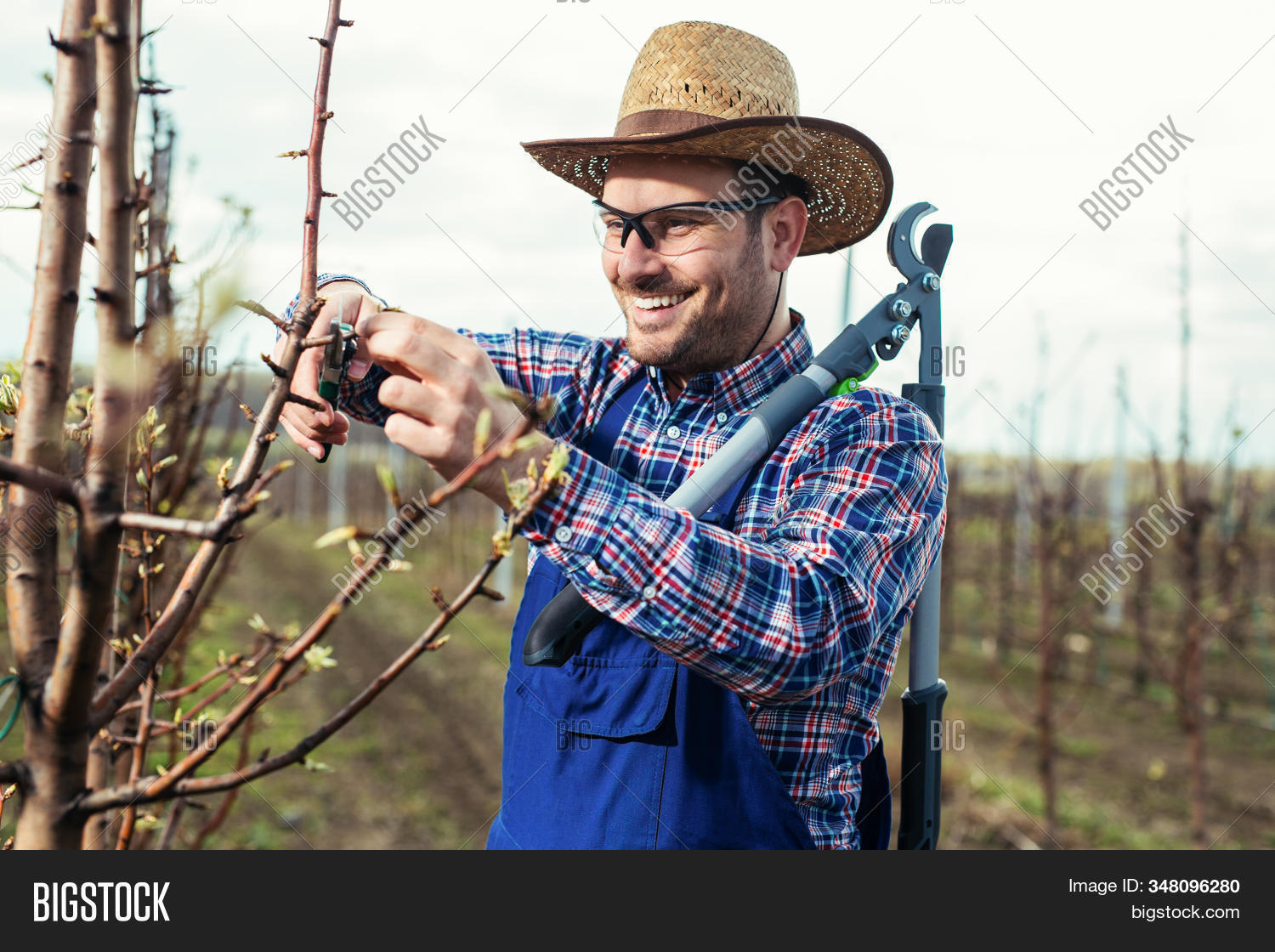Young Man Pruning Image & Photo (Free Trial) | Bigstock