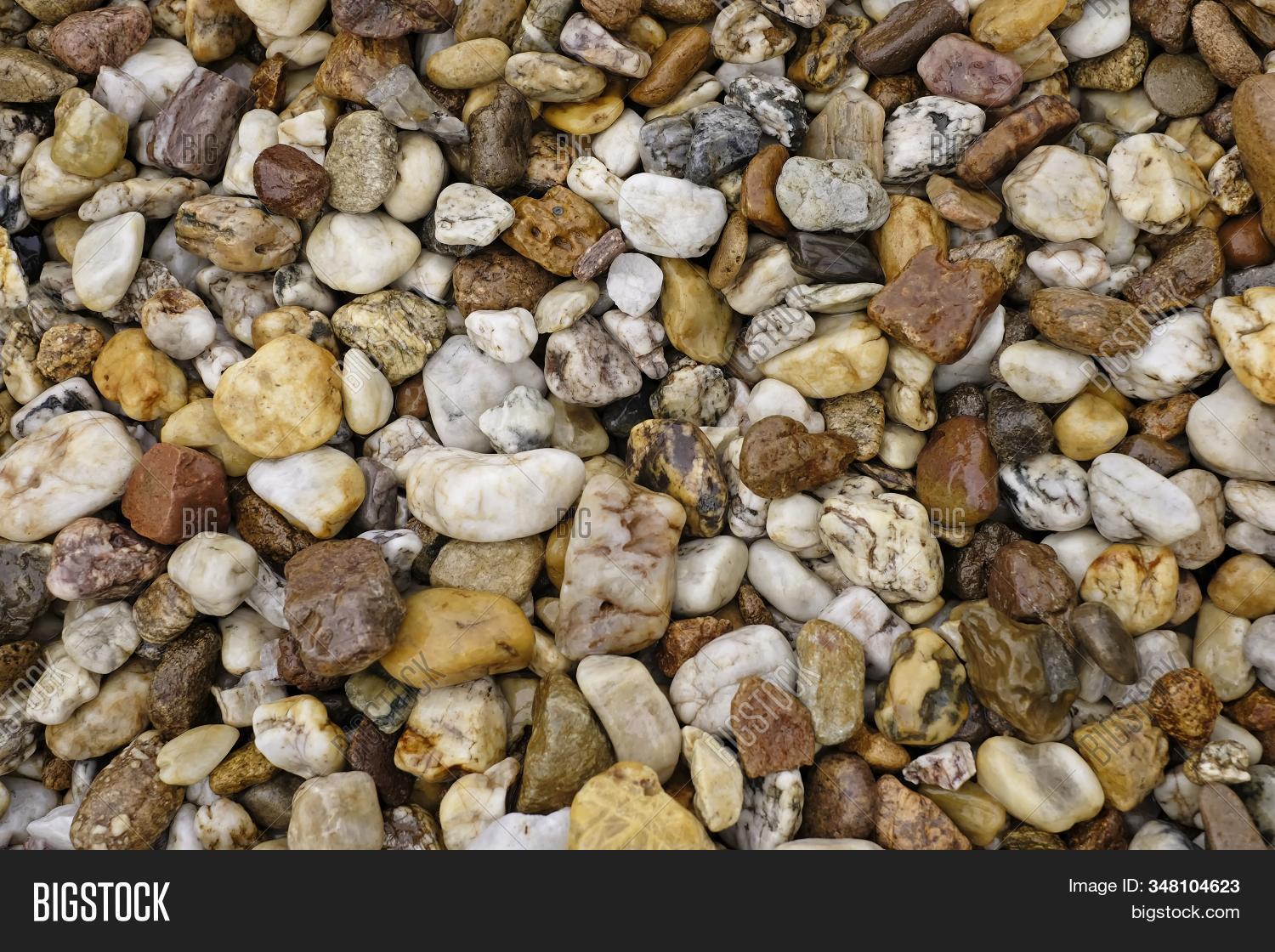 Wet Pebble Stone Image & Photo (Free Trial) | Bigstock