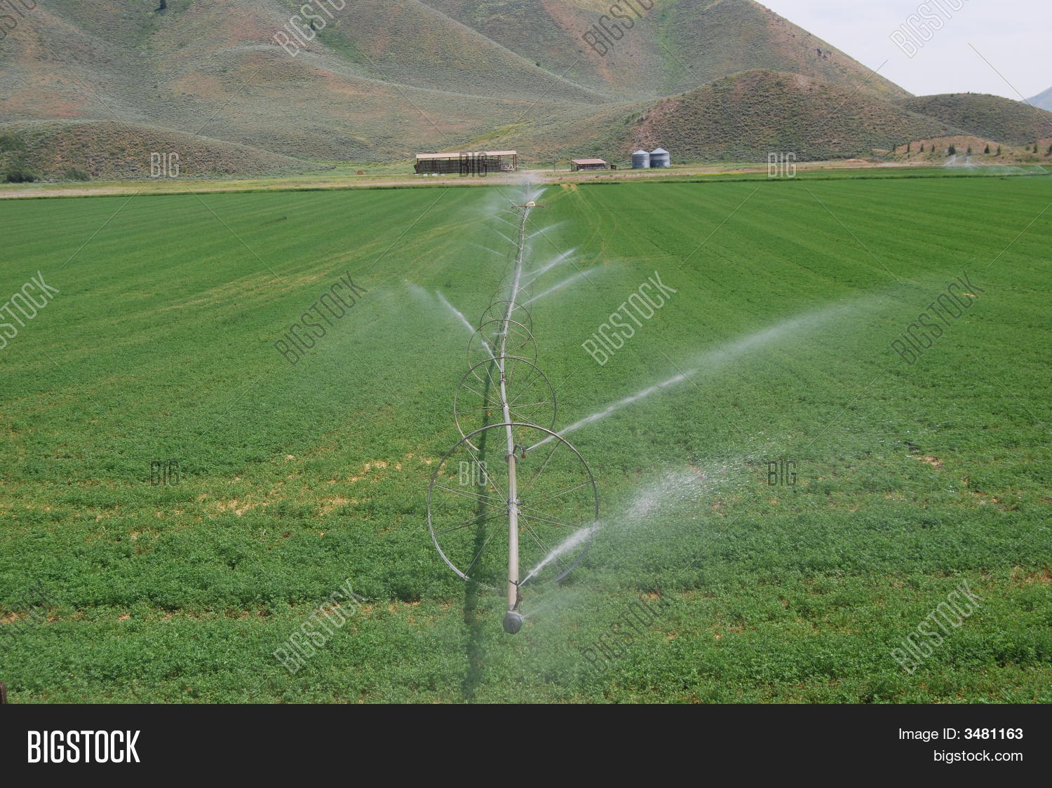 Agriculture Sprinkler Image & Photo (Free Trial) | Bigstock