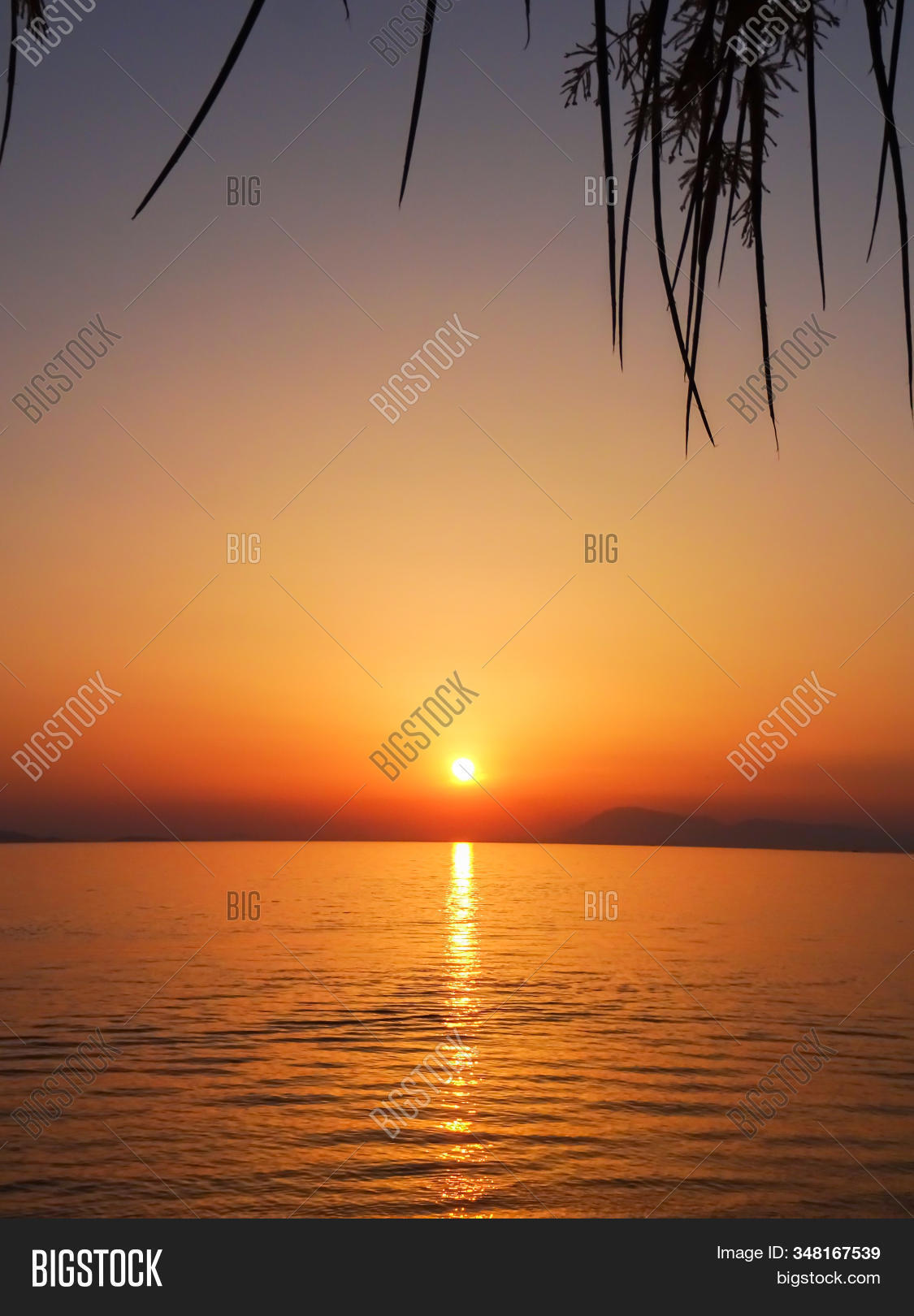 Sunset On Beach. Beach Image & Photo (Free Trial) | Bigstock