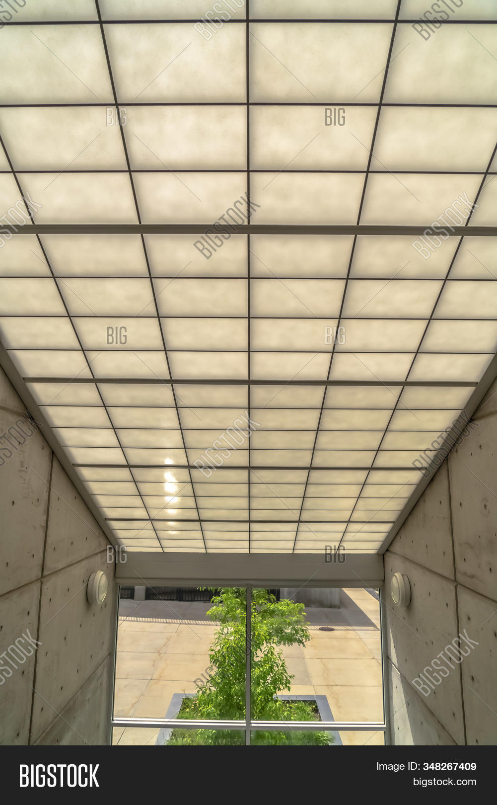 Slanted Frosted Glass Image & Photo (Free Trial) | Bigstock