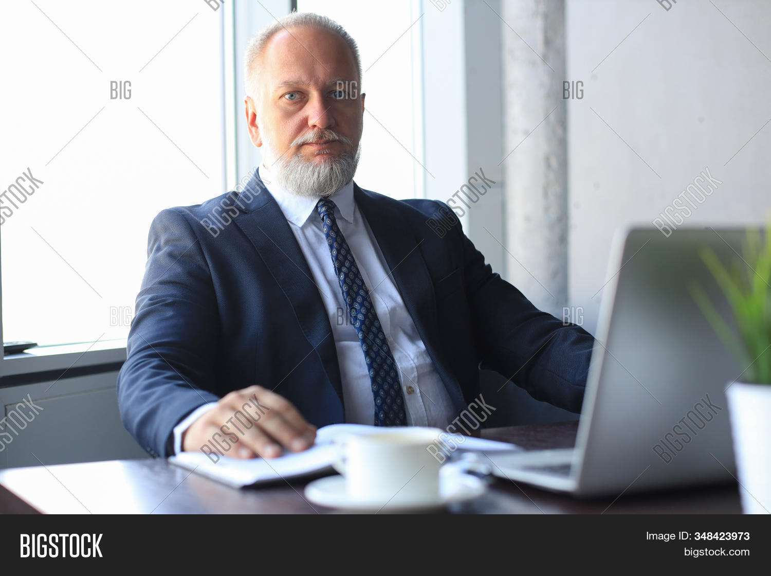 Senior Man Office Image & Photo (Free Trial) | Bigstock
