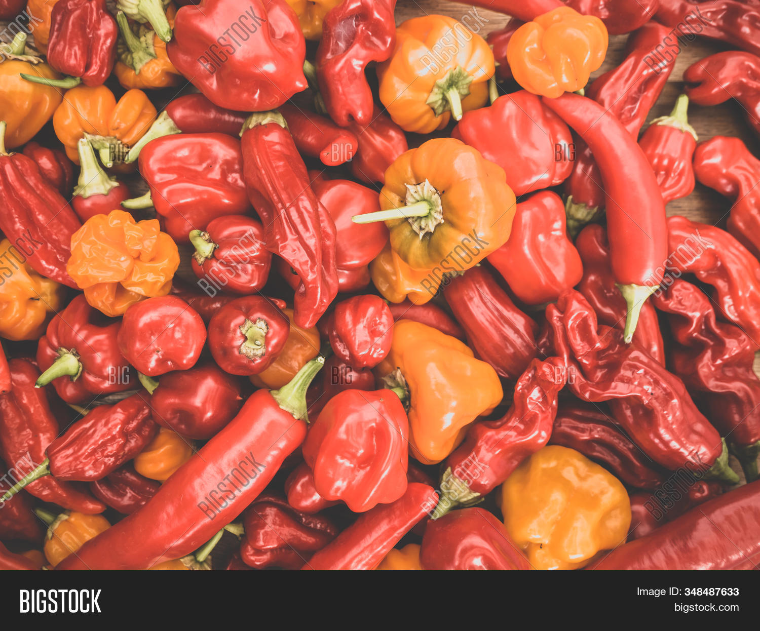 Colorful Mix Chili Image & Photo (Free Trial) | Bigstock