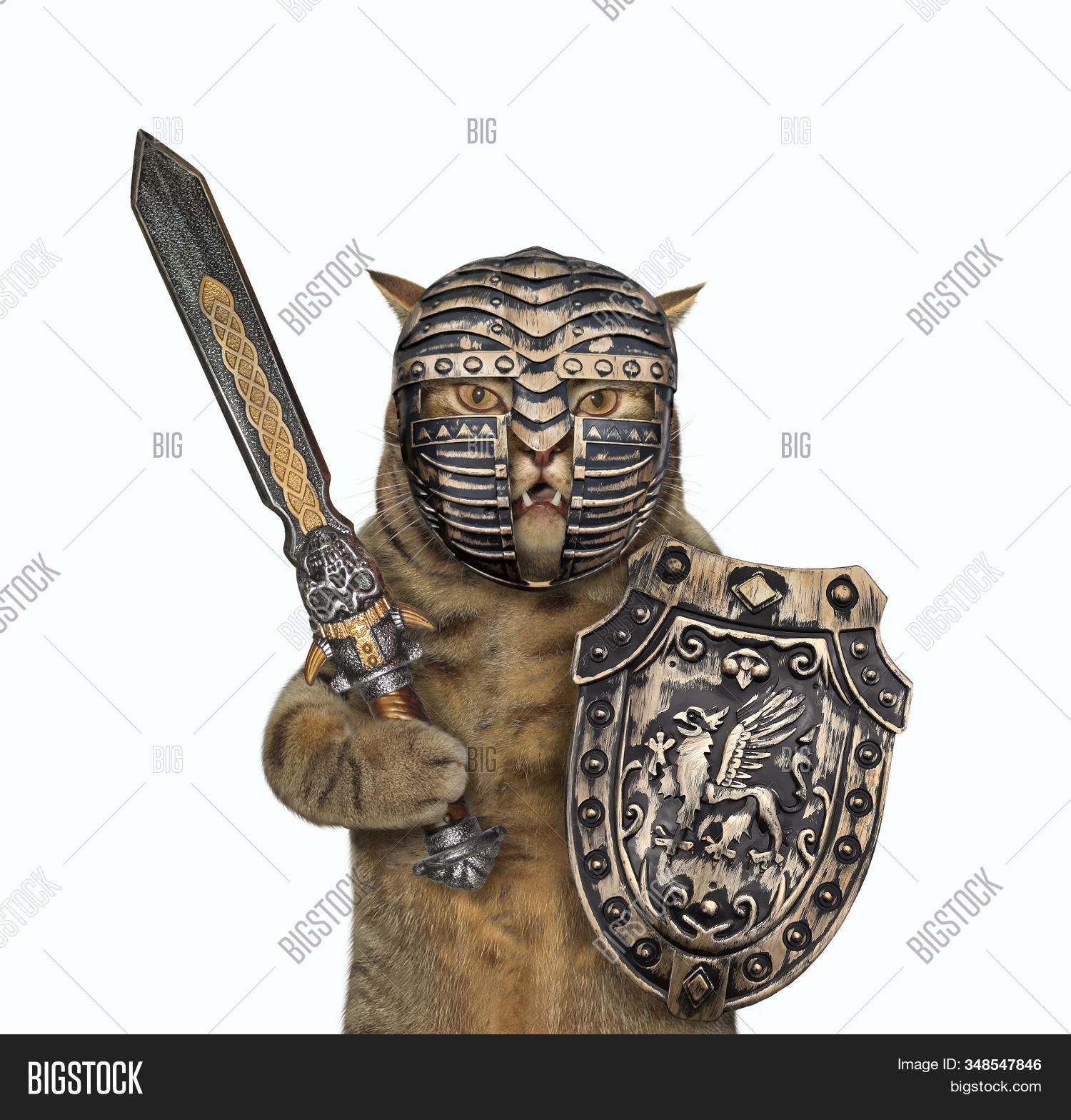Beige Cat Knight Image & Photo (Free Trial) | Bigstock