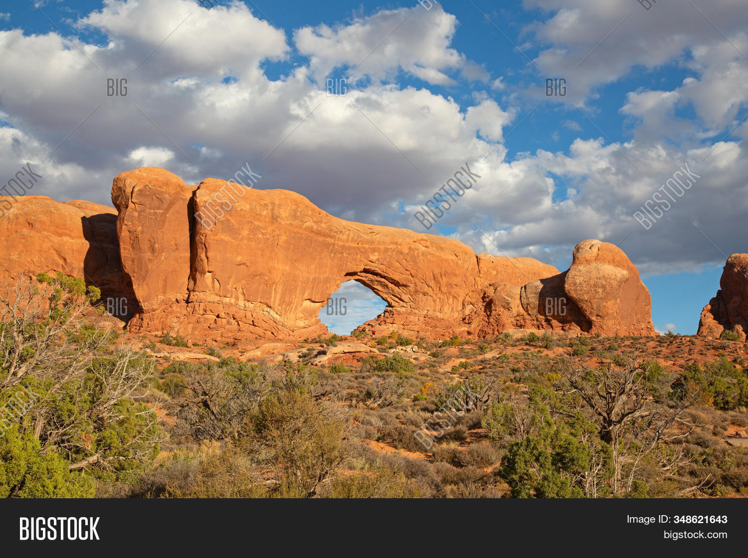 Famous South Window Image & Photo (Free Trial) | Bigstock