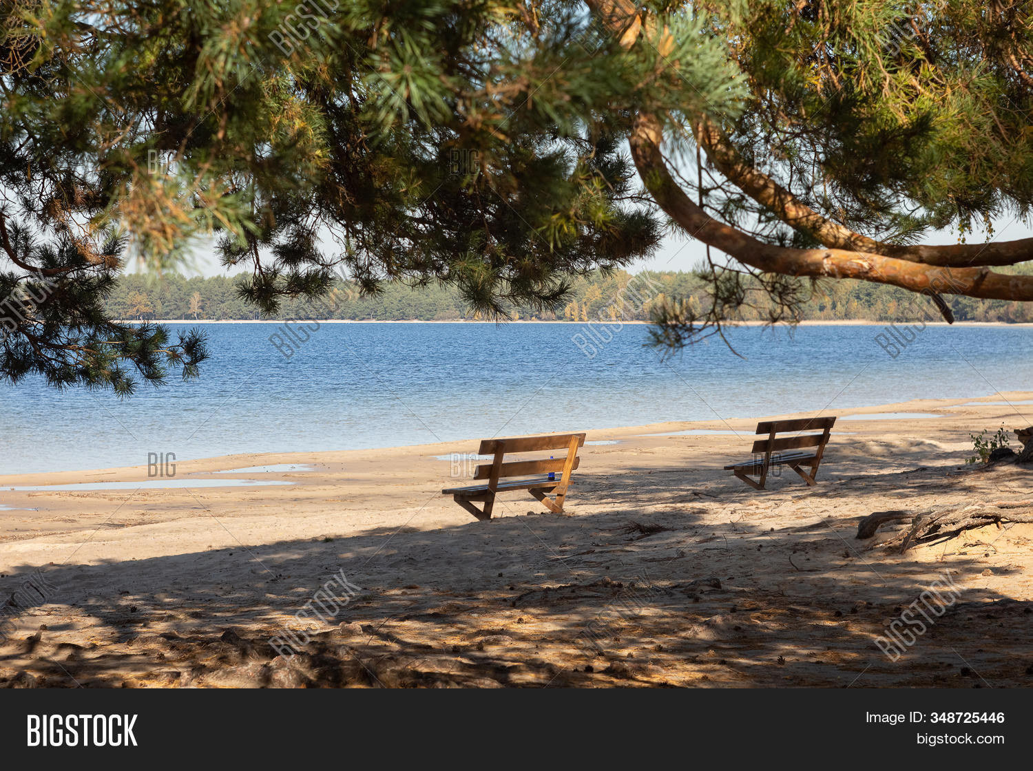 Bench On Lakeshore Image & Photo (Free Trial) | Bigstock