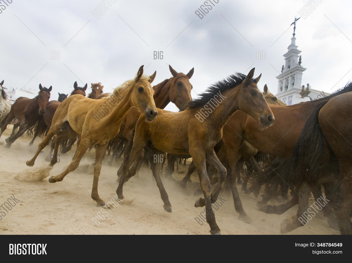 Caballlos Running Step Image & Photo (Free Trial) | Bigstock