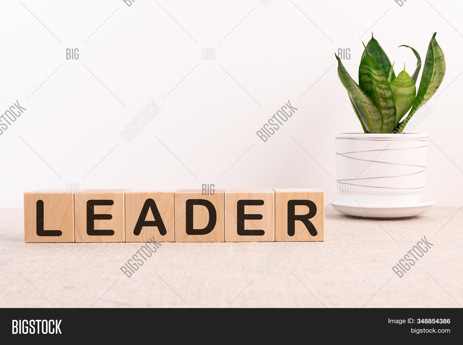 Successful Team Leader Image & Photo (Free Trial) | Bigstock