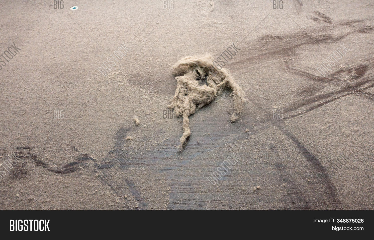 Dust Lump Layer Dust Image & Photo (Free Trial) | Bigstock