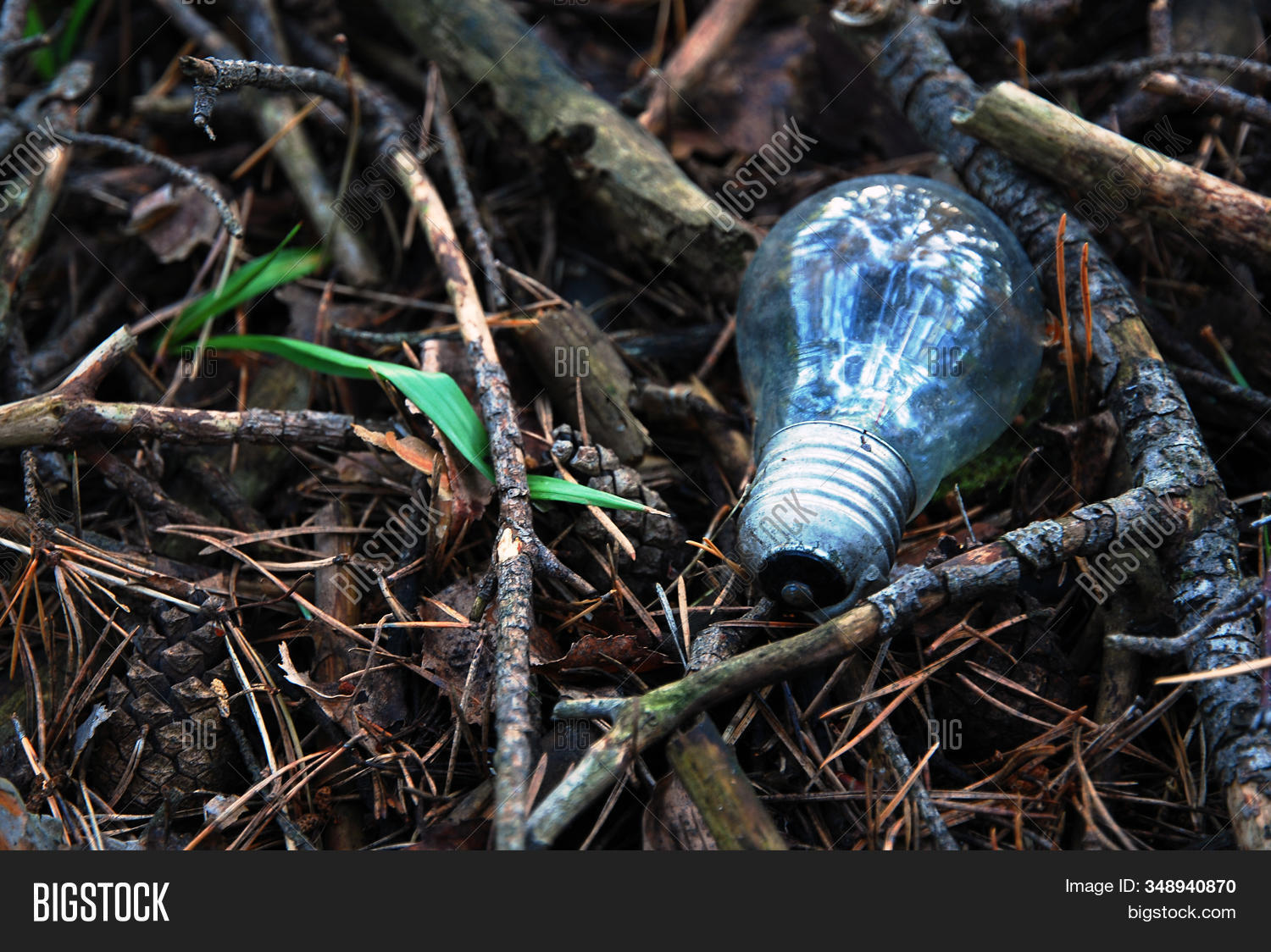 Light Bulb Lying On Image & Photo (Free Trial) | Bigstock