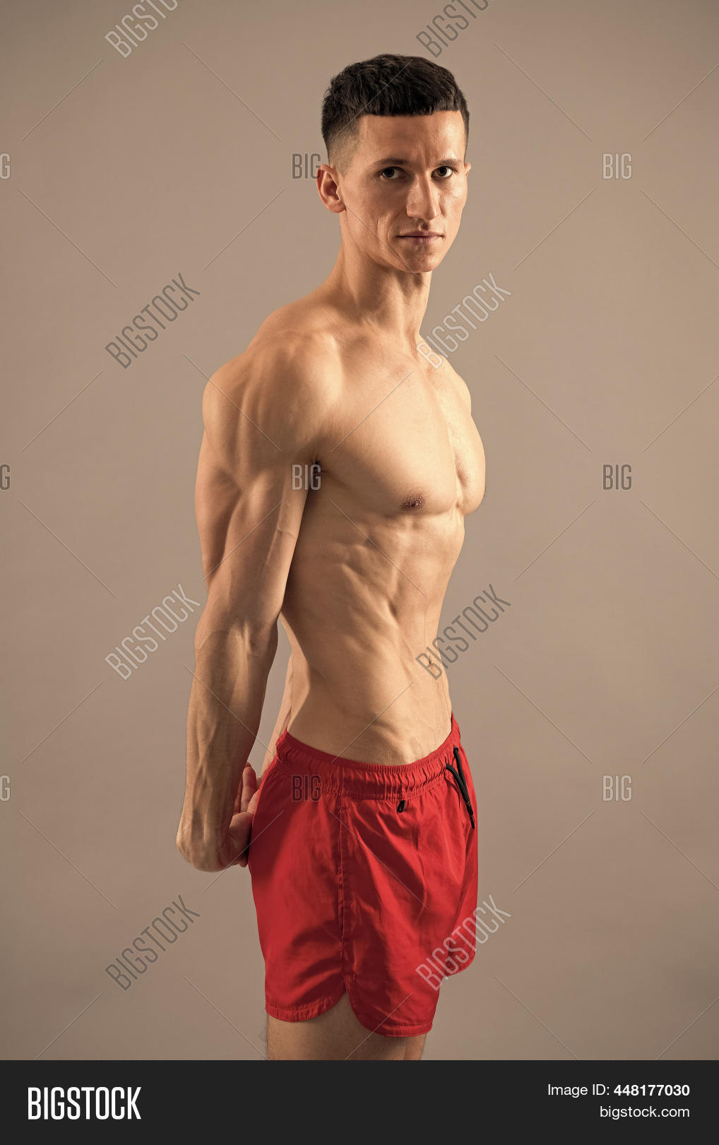 Muscular Man Fit Torso Image & Photo (Free Trial) | Bigstock