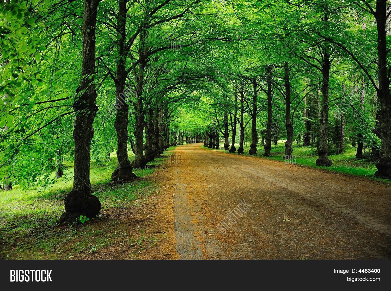 Road Park Image & Photo (Free Trial) | Bigstock