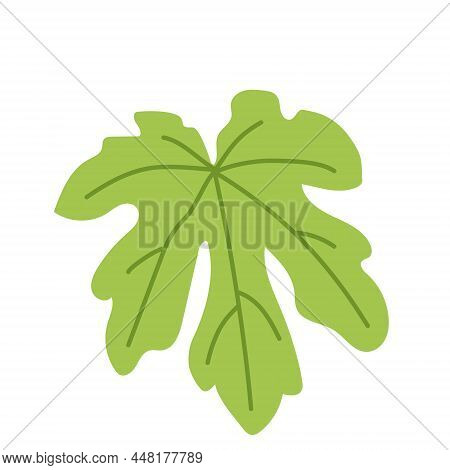One Green Fig Leaf. Vector & Photo (Free Trial) | Bigstock