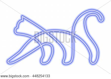 Blue Neon Outline Cat Vector & Photo (Free Trial) | Bigstock