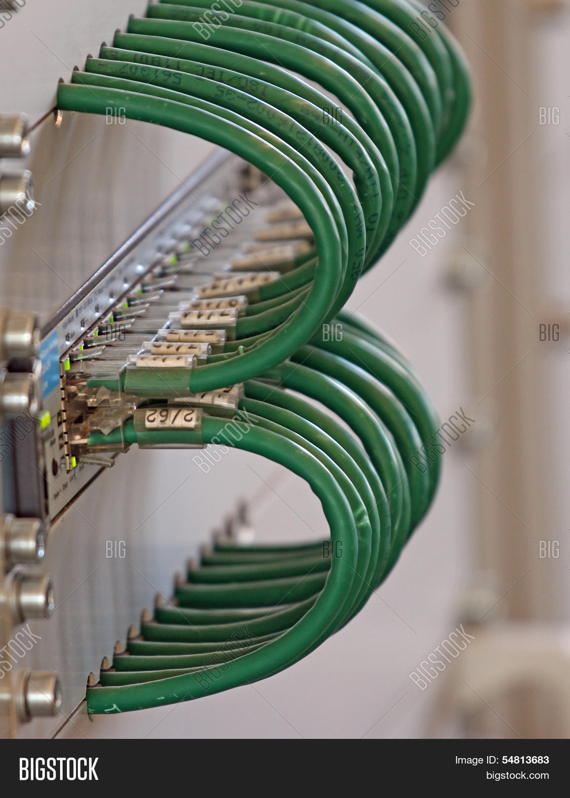Patch Panel Cables Image & Photo (Free Trial) | Bigstock