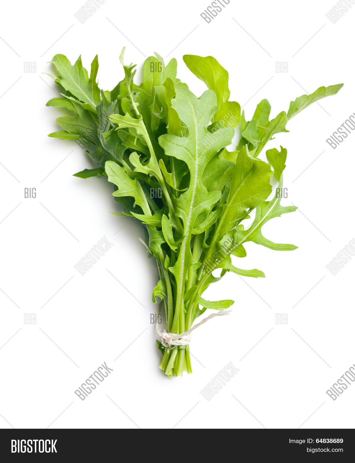 Fresh Arugula Leaves Image & Photo (Free Trial) | Bigstock