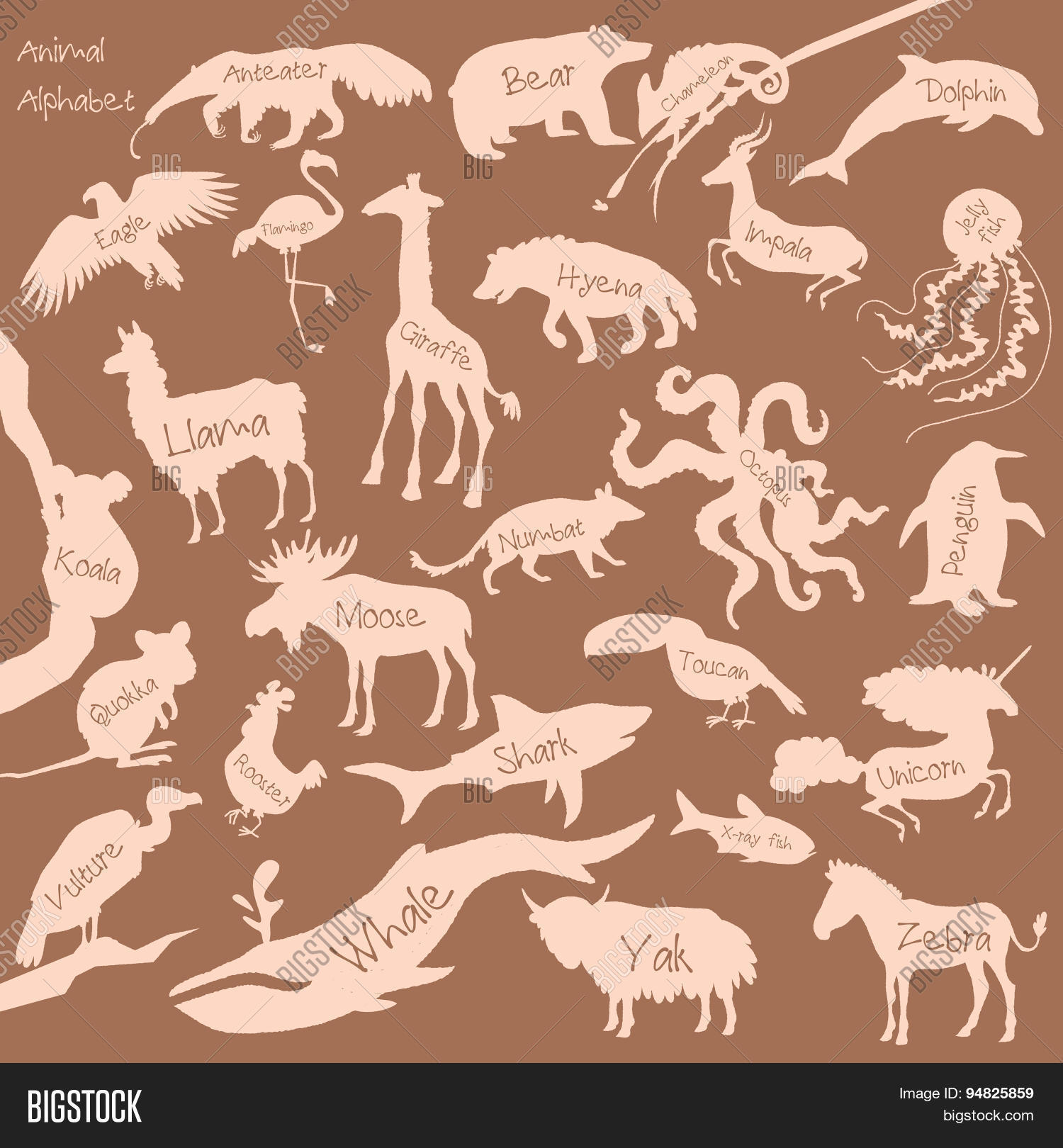 Animal Alphabet Vector & Photo (Free Trial) | Bigstock