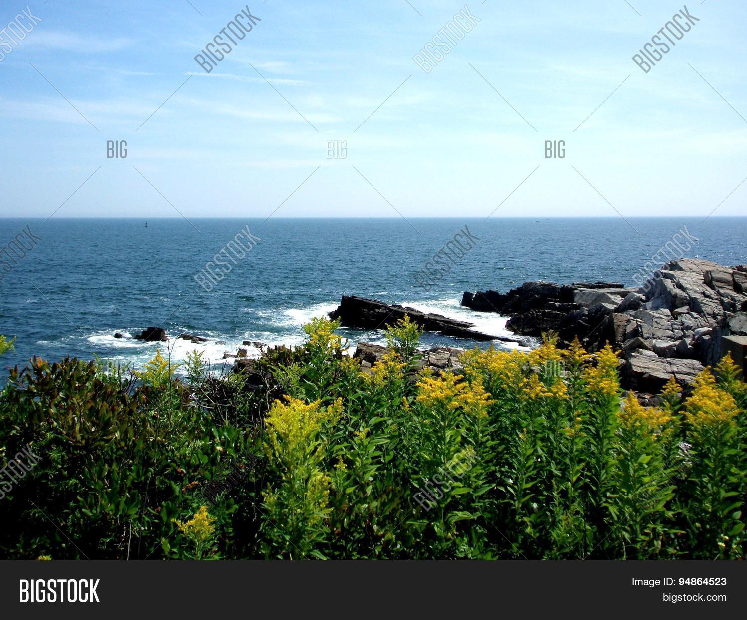 Beautiful Ocean Image & Photo (Free Trial) | Bigstock