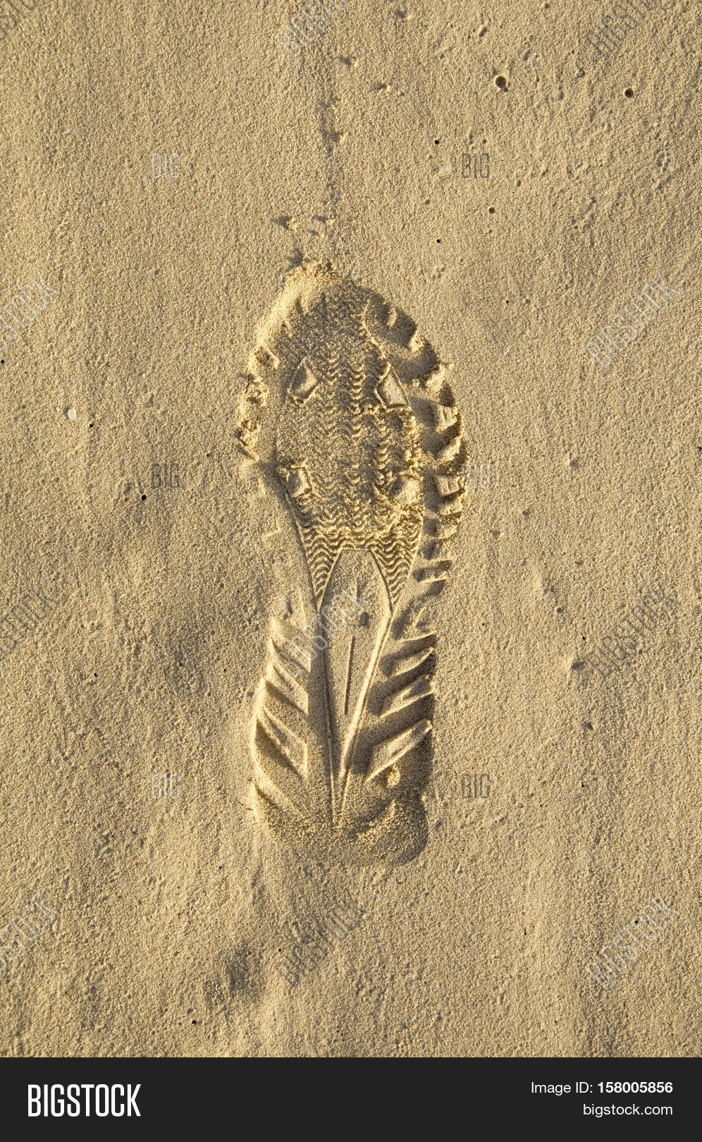 Shoe Print Impression Image & Photo (Free Trial) | Bigstock