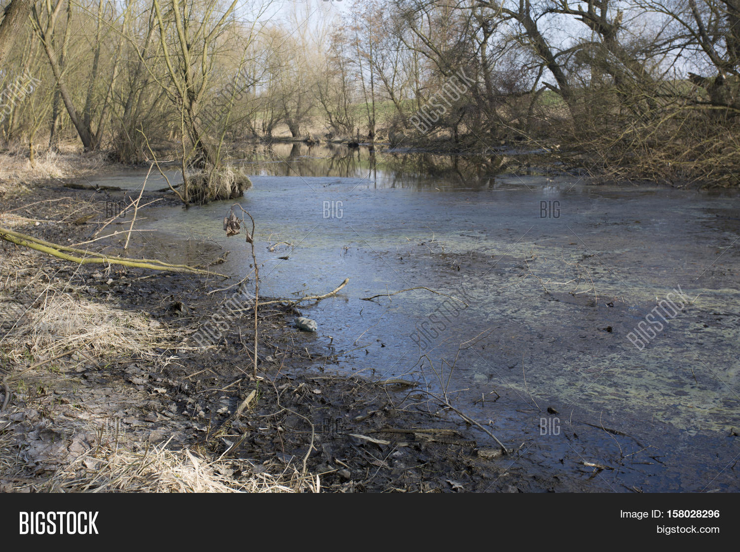 Swamps Autumn. Cool Image & Photo (Free Trial) | Bigstock