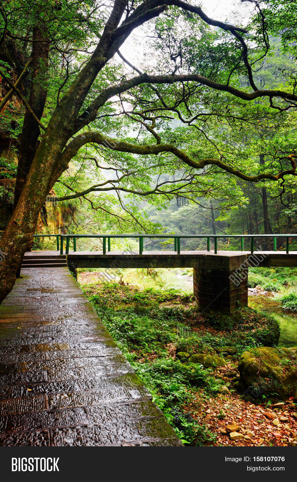 View Stone Walkway Image & Photo (Free Trial) | Bigstock