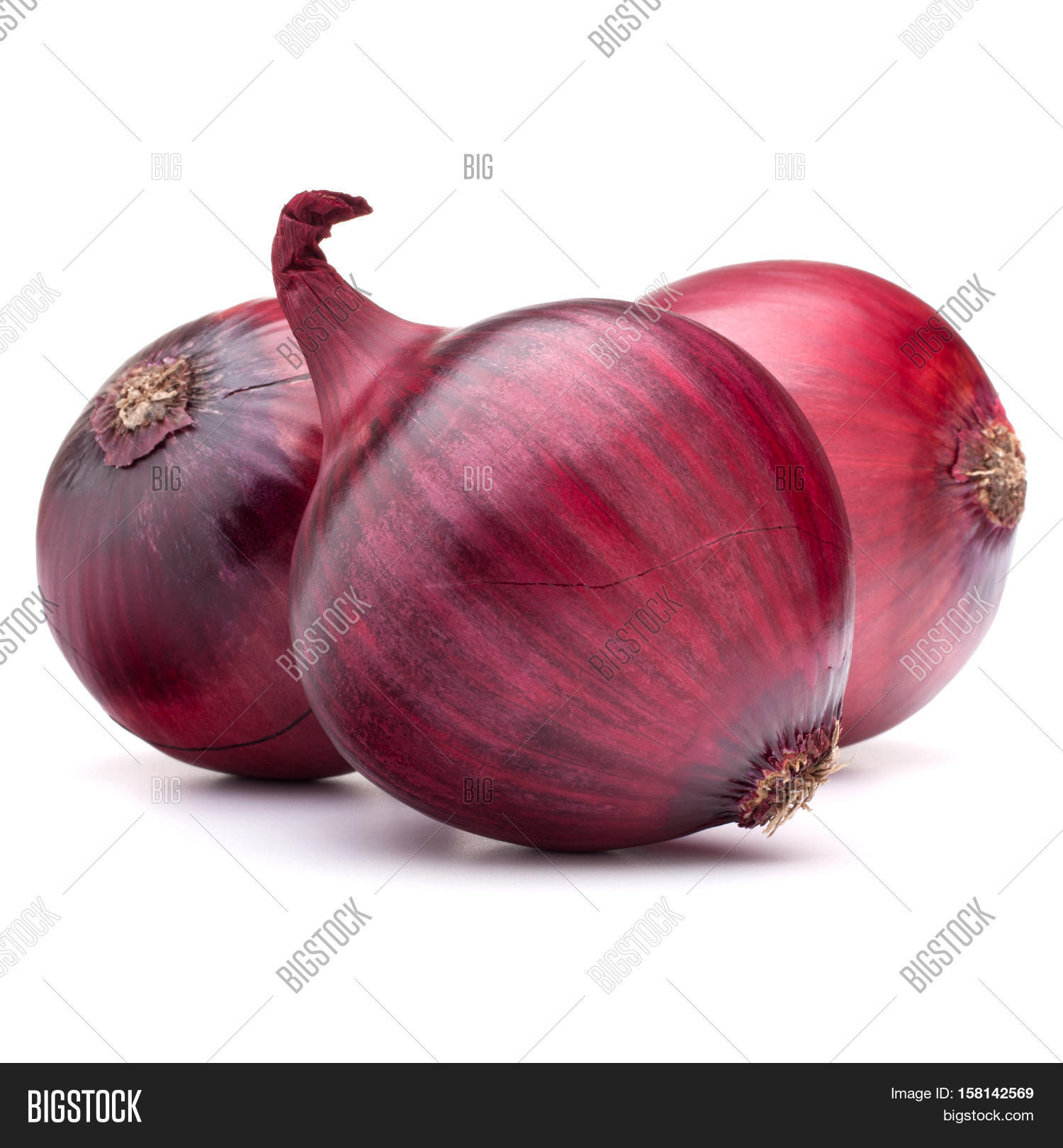 Red Onion Bulb Image & Photo (Free Trial) | Bigstock