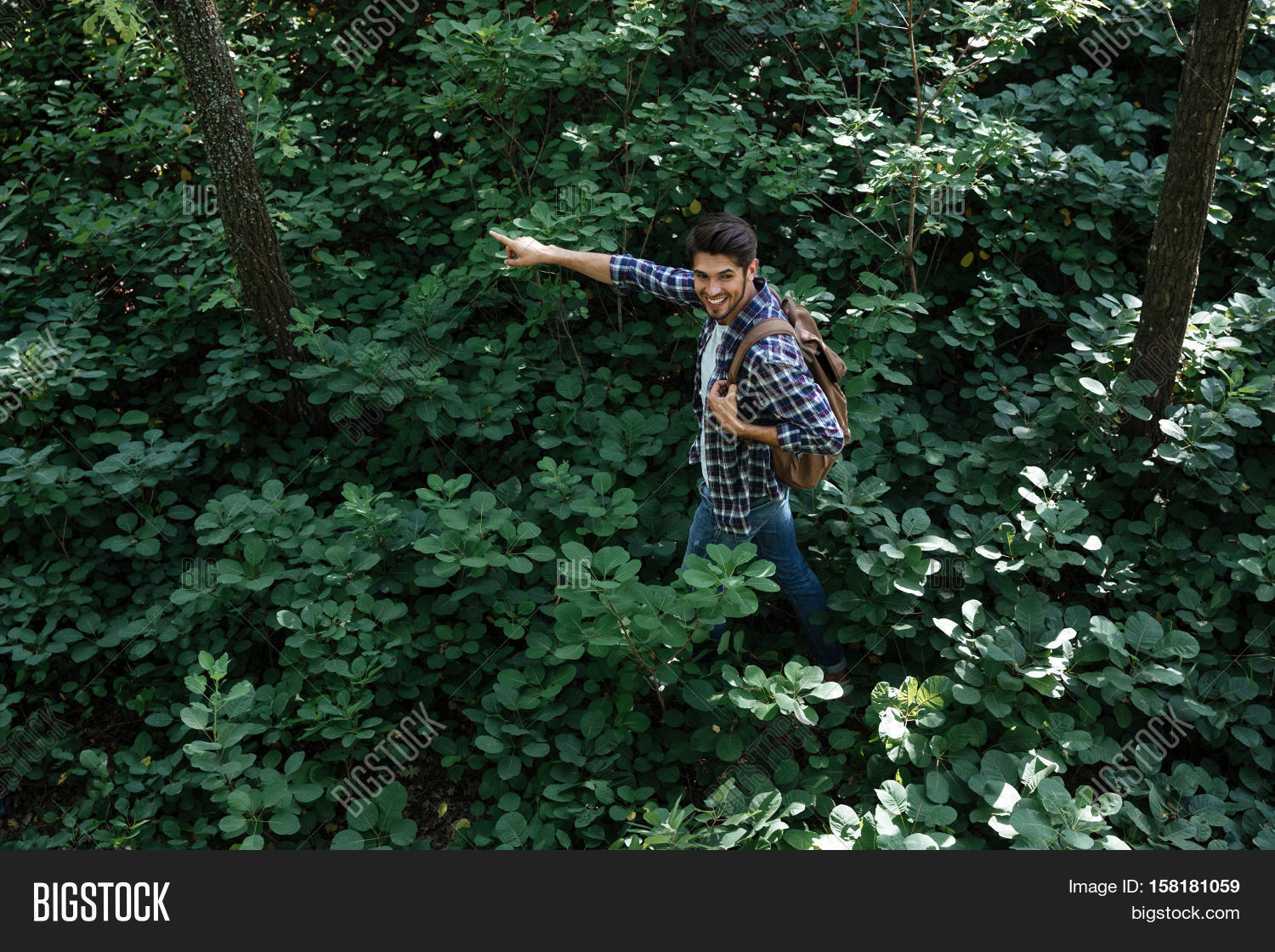 Above Photo Man Forest Image & Photo (Free Trial) | Bigstock