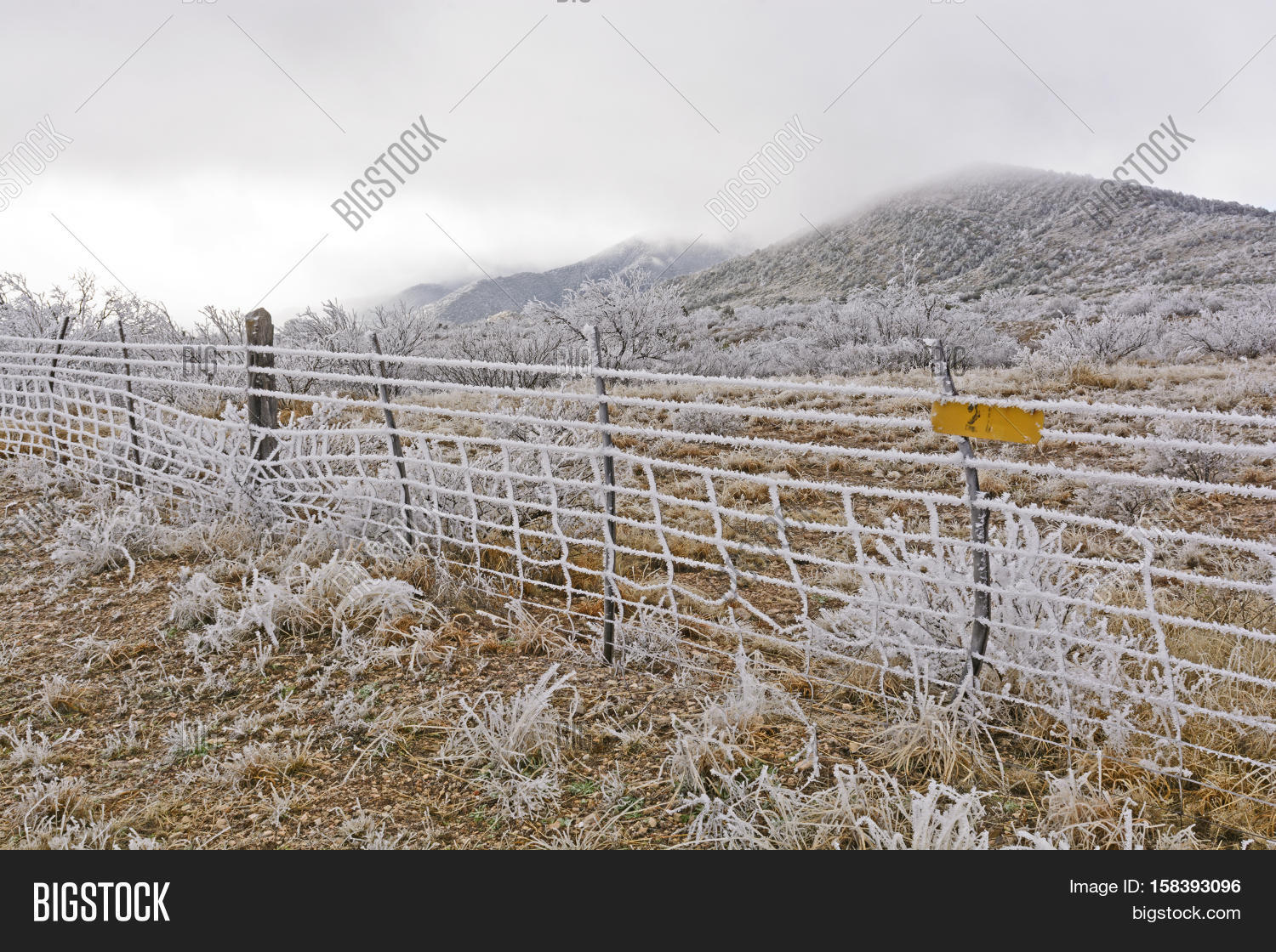Texas Ranch Ice Storm Image & Photo (Free Trial) | Bigstock