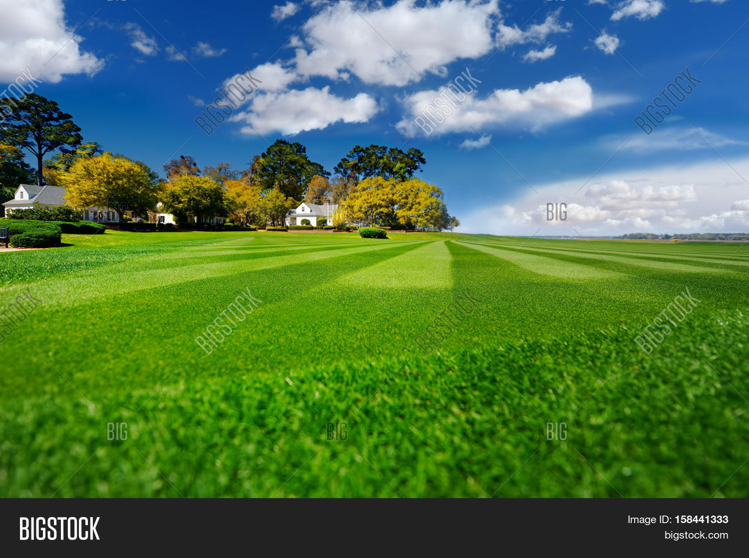 Perfectly Striped Image & Photo (Free Trial) | Bigstock