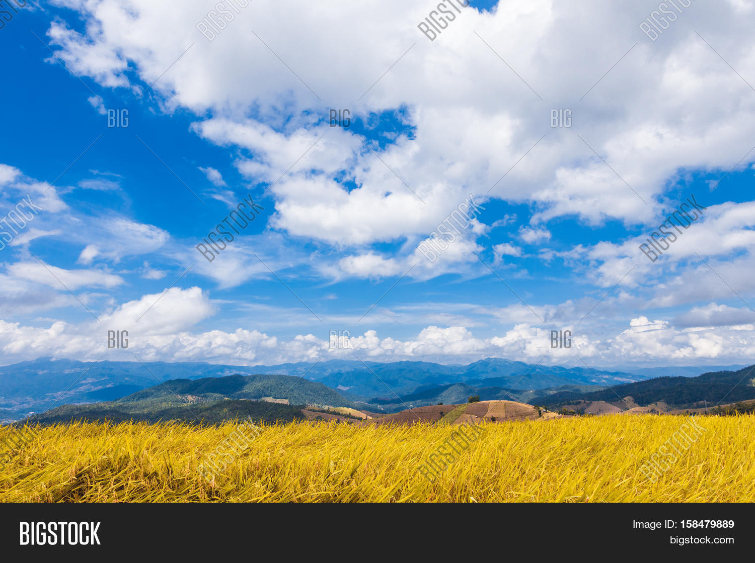 Golden Color Stepped Image & Photo (Free Trial) | Bigstock