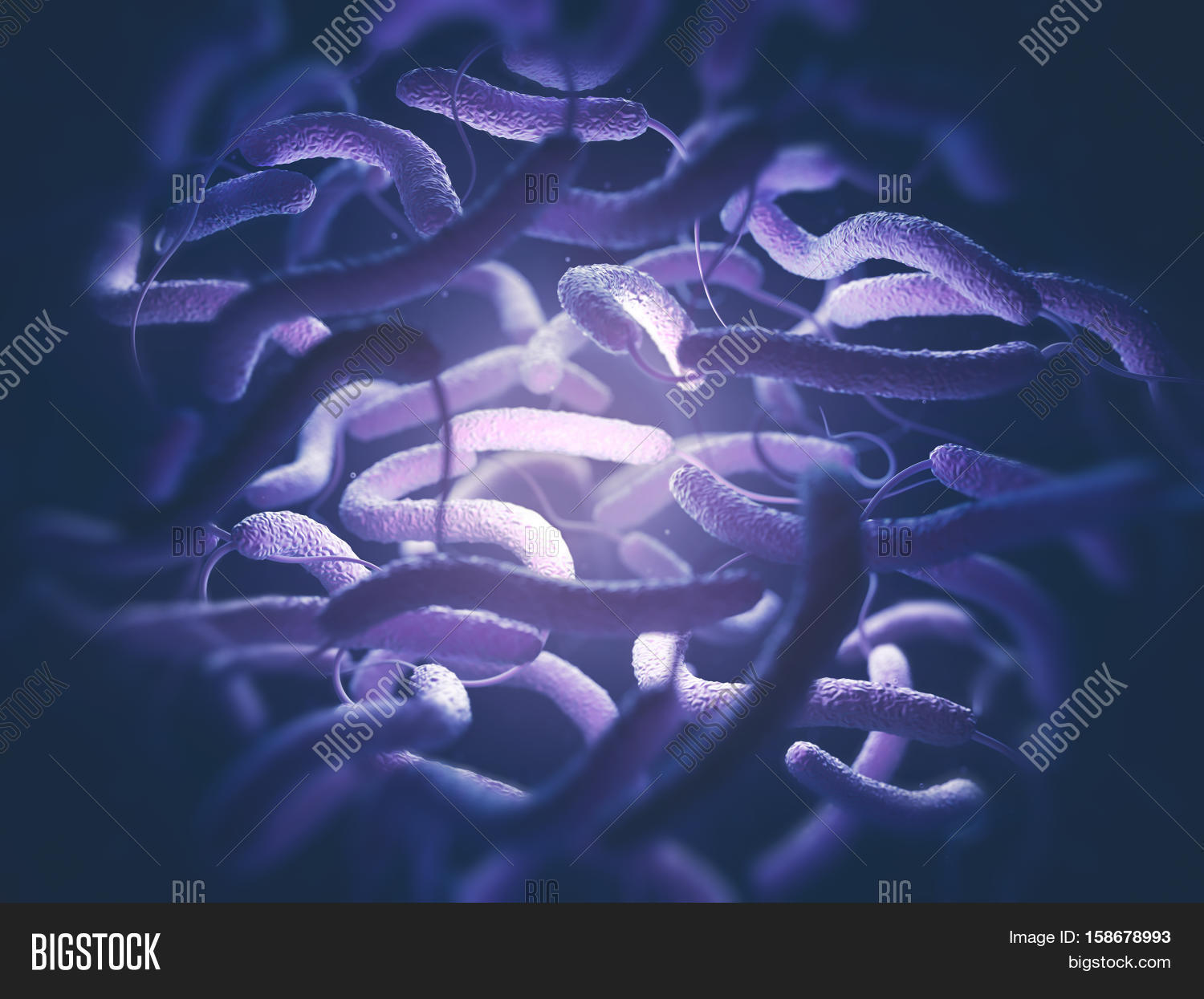 Vibrio Cholerae Gram- Image & Photo (Free Trial) | Bigstock