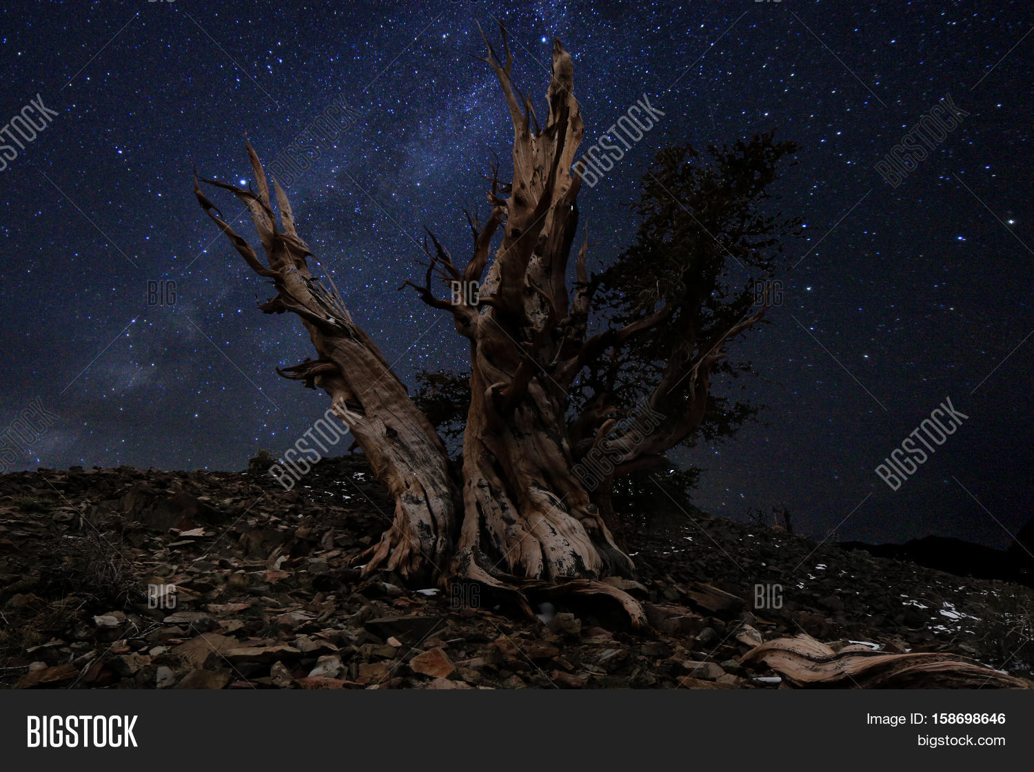 Illuminous Light Image & Photo (Free Trial) | Bigstock