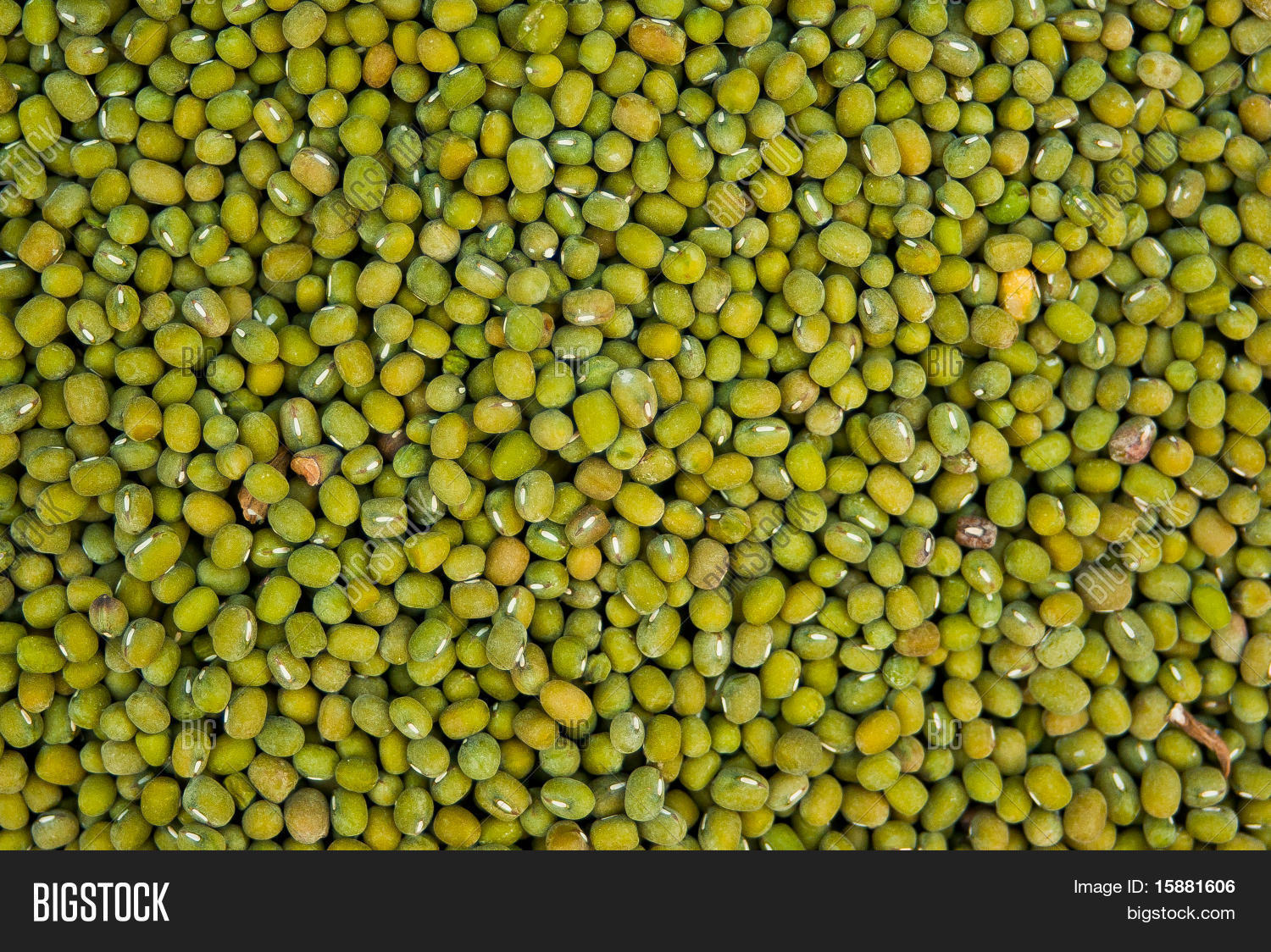 Mung Beans Image & Photo (Free Trial) | Bigstock