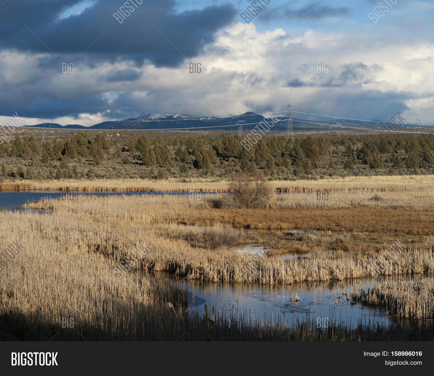 Ponds Central Oregon Image & Photo (Free Trial) | Bigstock