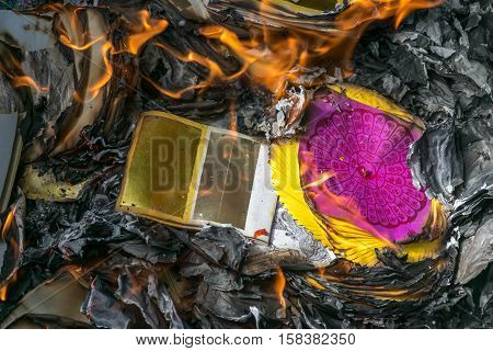 Burn Paper Money Paper Image & Photo (Free Trial) | Bigstock