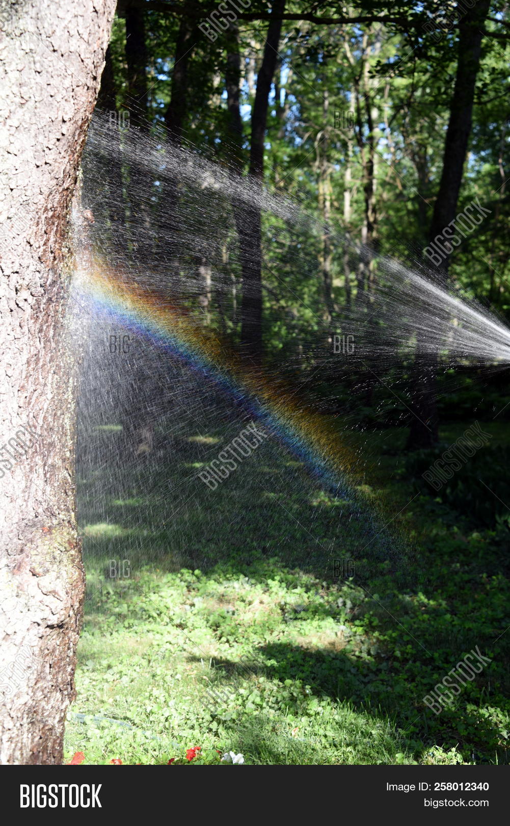 Rainbow Water Droplets Image & Photo (Free Trial) | Bigstock