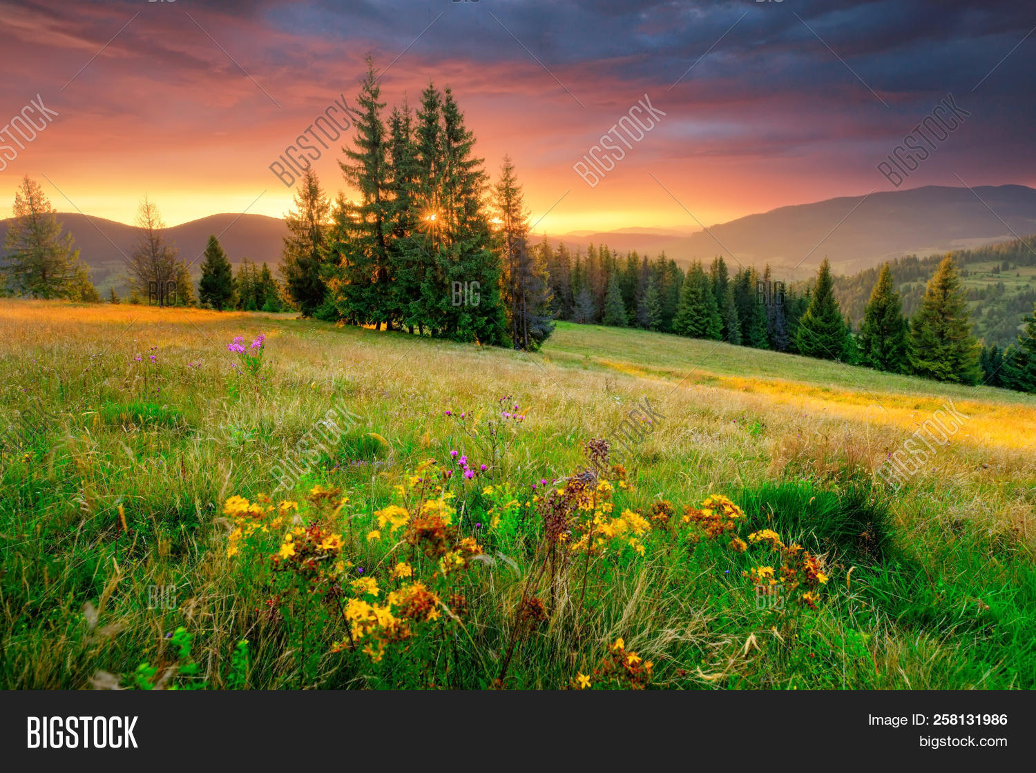 Morning Landscape. Image & Photo (Free Trial) | Bigstock