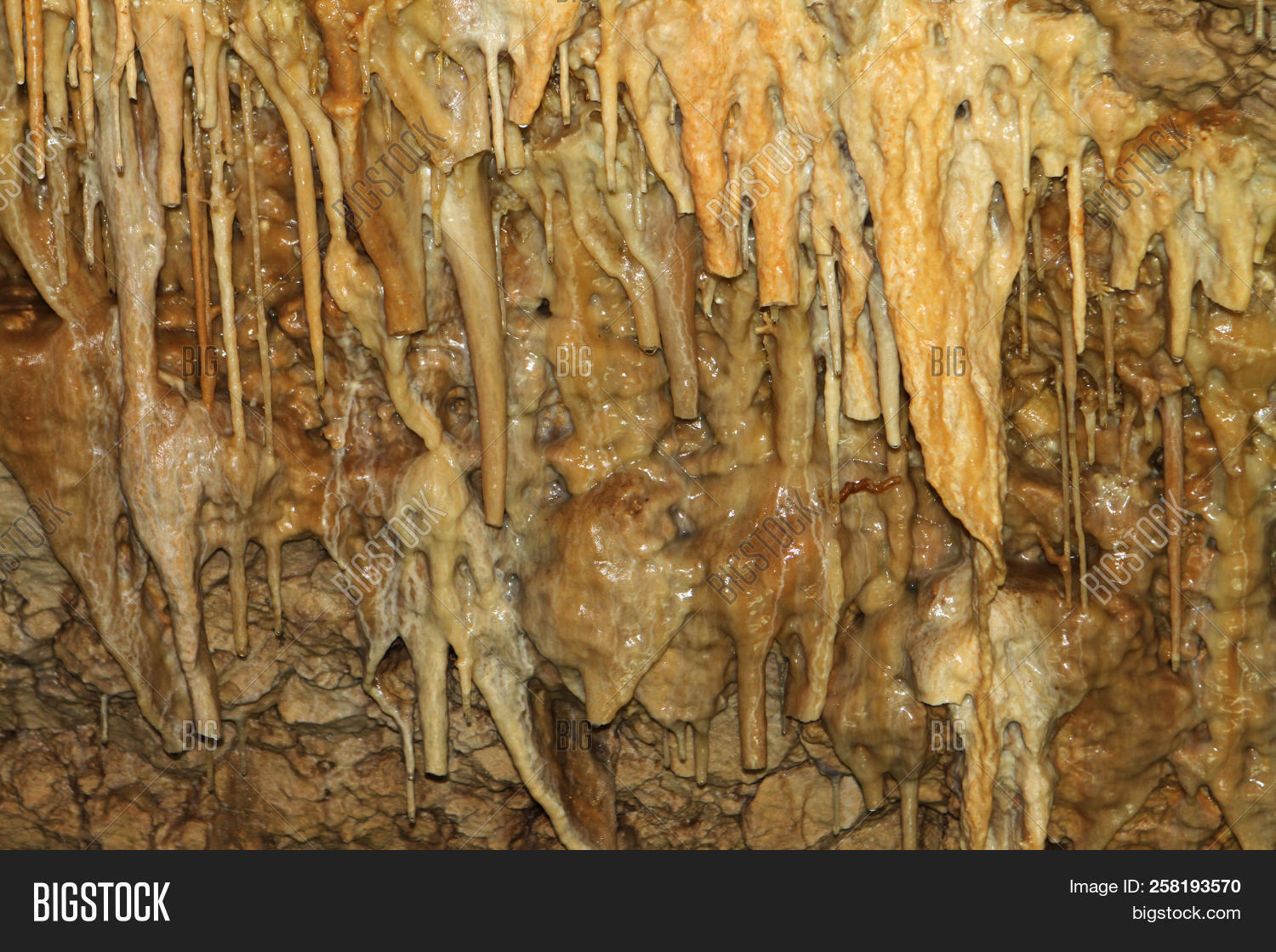 Natural Texture Image Image & Photo (Free Trial) | Bigstock