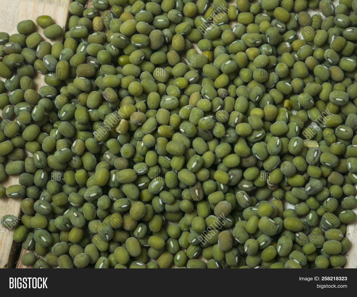 Mung Beans Known Green Image & Photo (Free Trial) | Bigstock