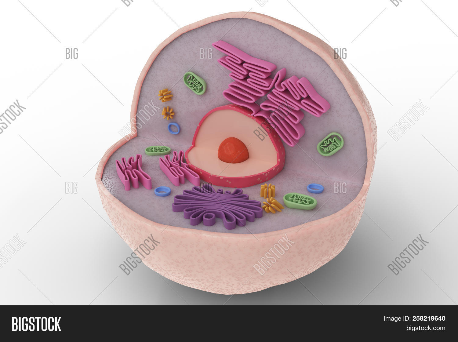 3d Rendered Image & Photo (Free Trial) | Bigstock