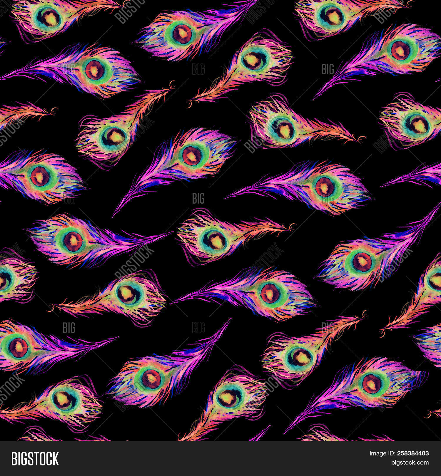 Peacock Feathers (tail Image & Photo (Free Trial) | Bigstock