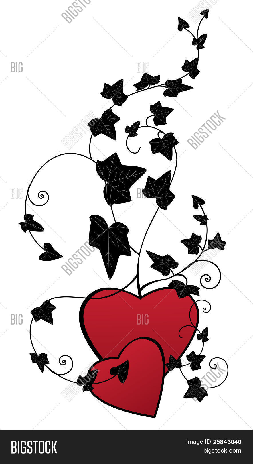 Ivy Hearts Vector & Photo (Free Trial) | Bigstock