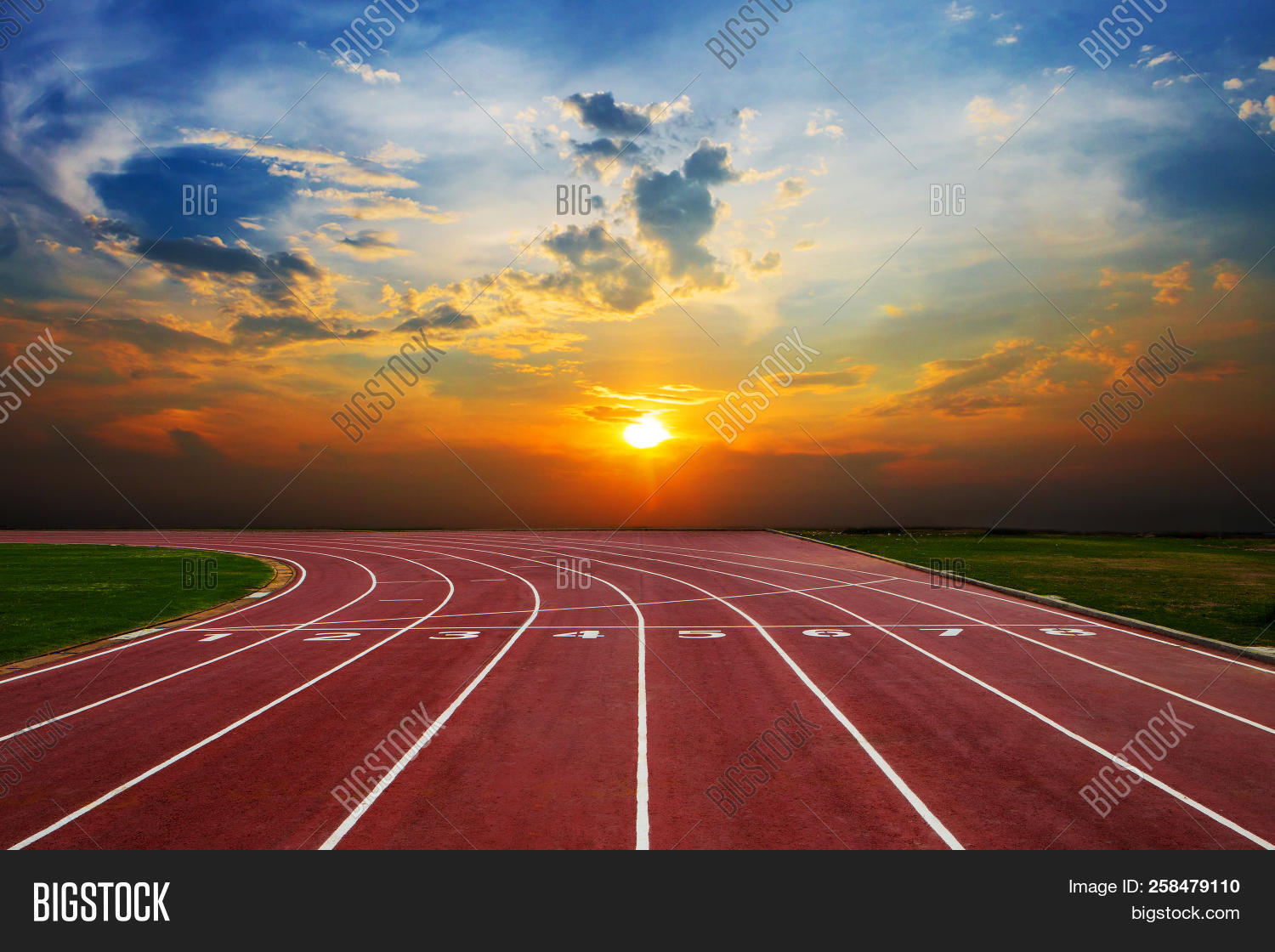 Athlete Track Running Image & Photo (Free Trial) | Bigstock