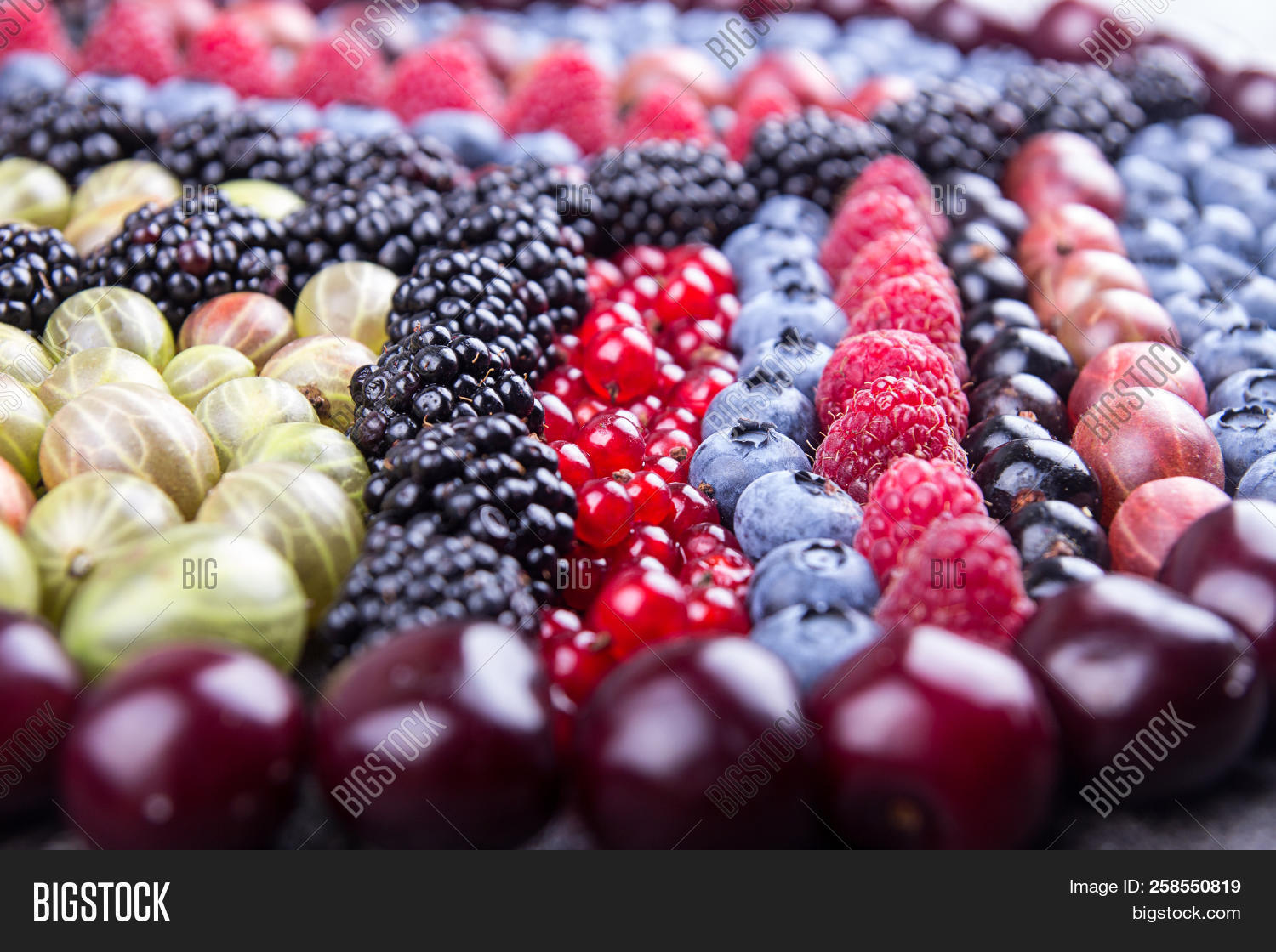 Rows Assorted Fruits Image & Photo (Free Trial) | Bigstock