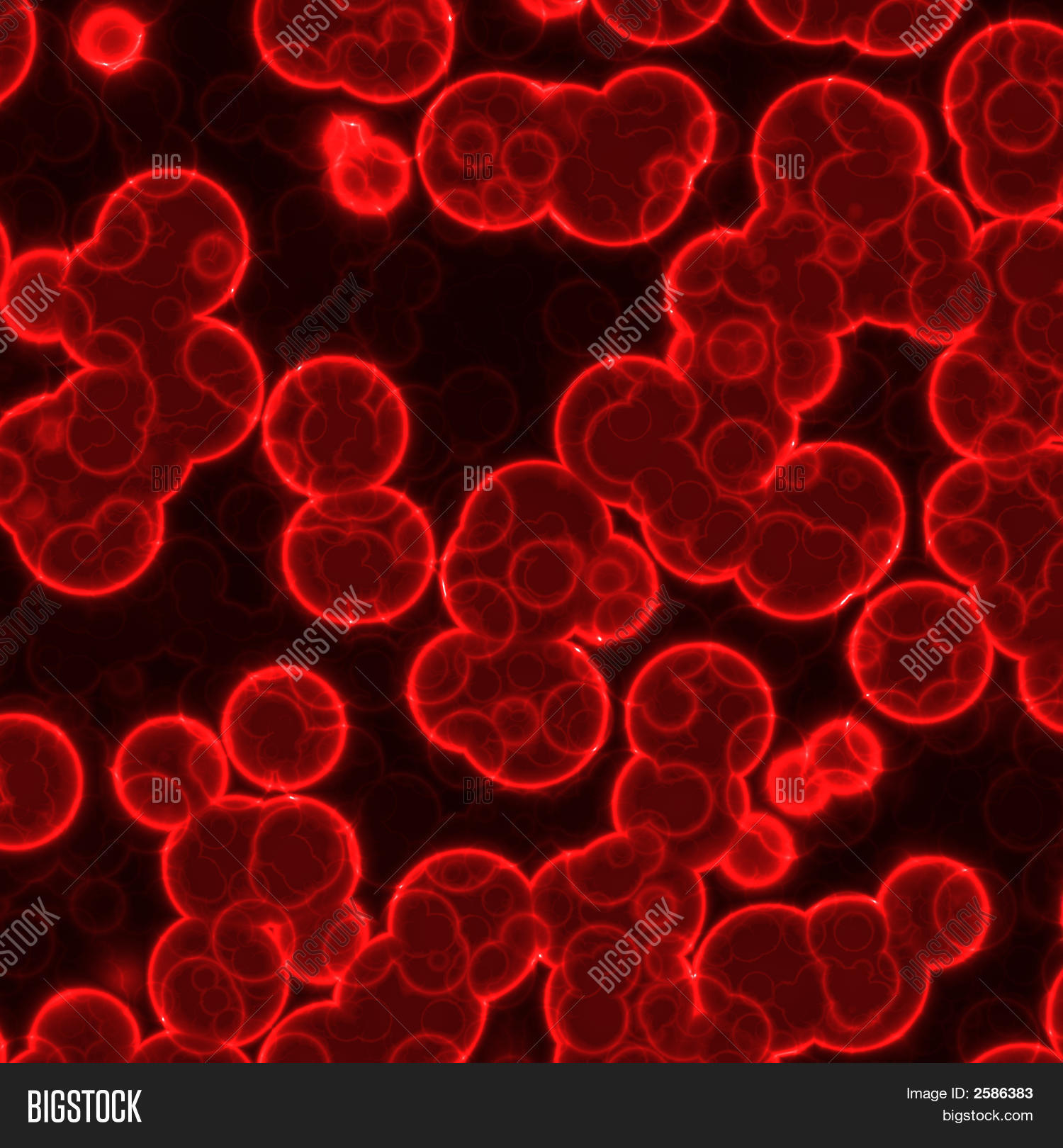 Magnified Blood Cells Image & Photo (Free Trial) | Bigstock